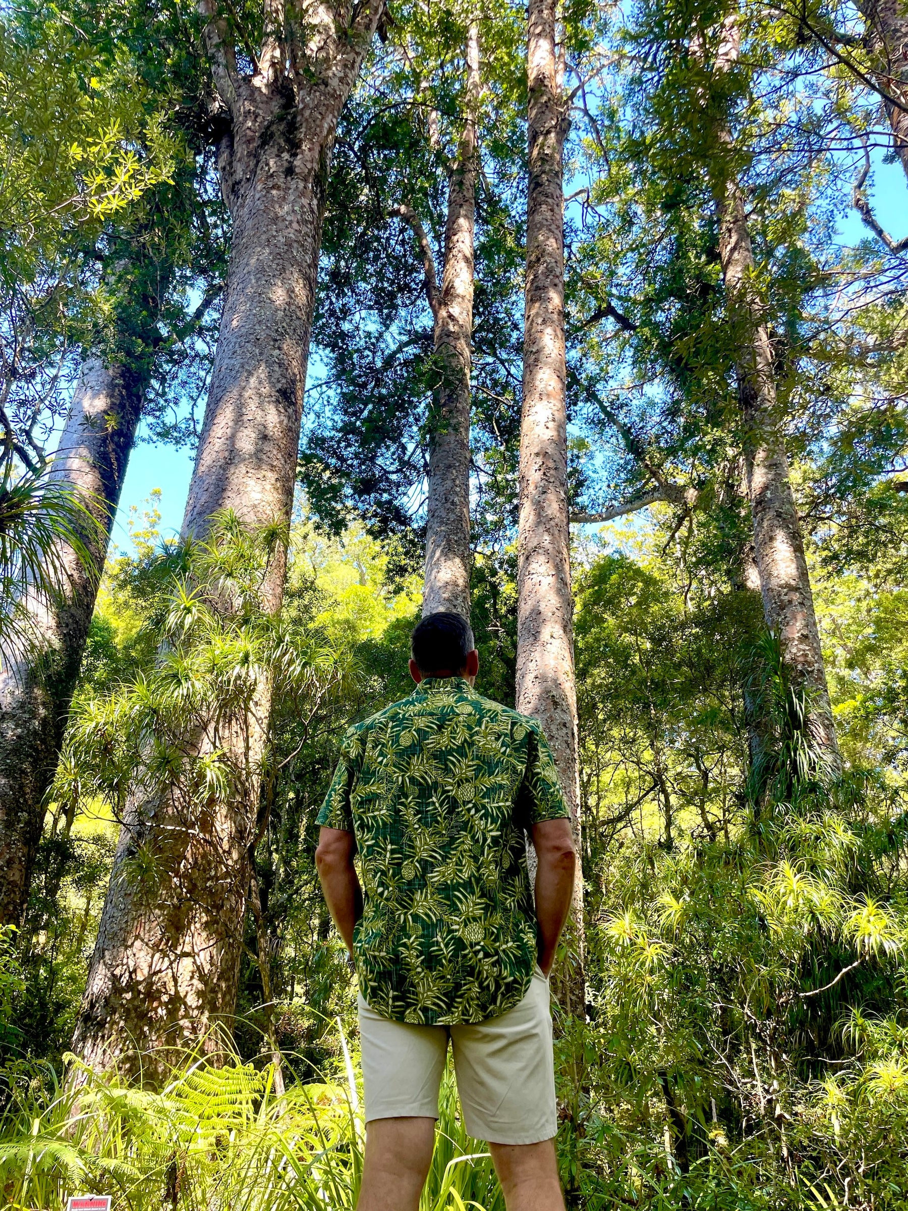 Kaleo Designs-Its about local style.